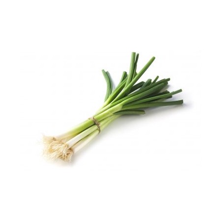 cebette fine (la botte)